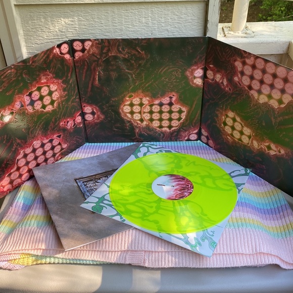 Lady Gaga | Media | Lady Gaga Chromatica Vinyl | Poshmark